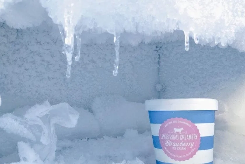 Ultimate Guide to Cleaning and Deodorizing Your Fridge: Fast and ...