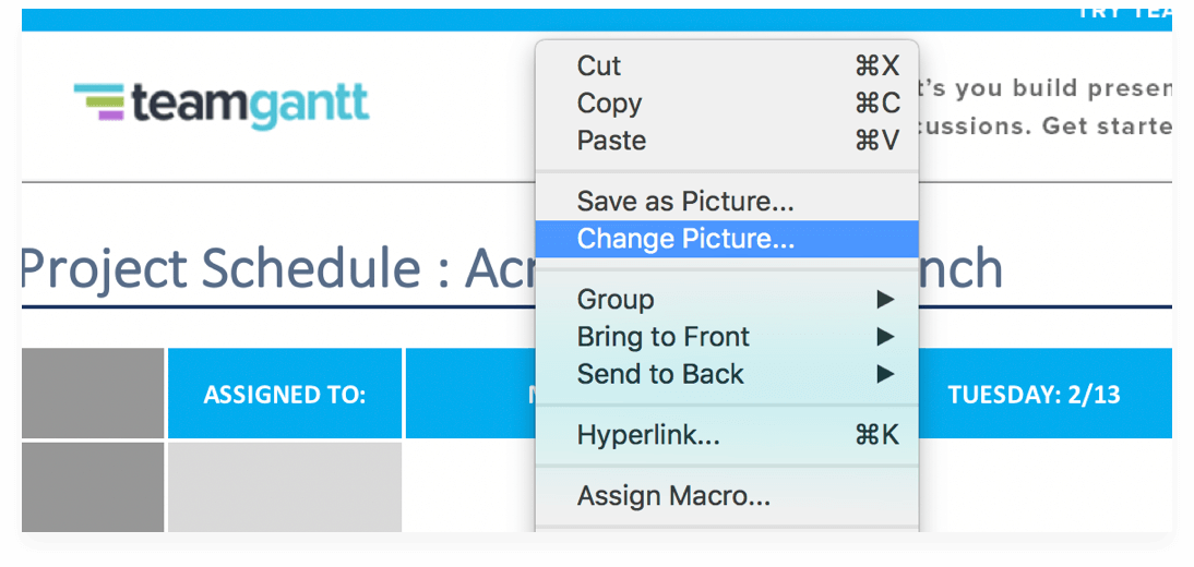 Free Project Schedule Template For Excel | TeamGantt