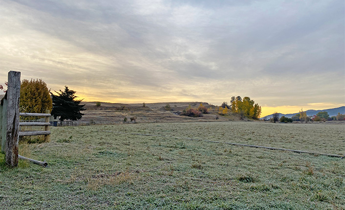 Jette Farm: Conserving Grass Valley Agriculture