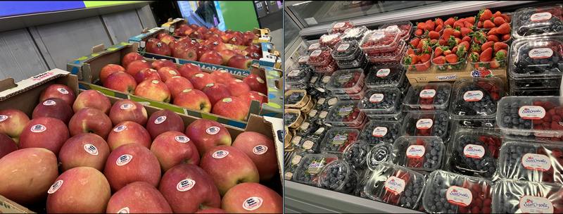 FruitLogistica show