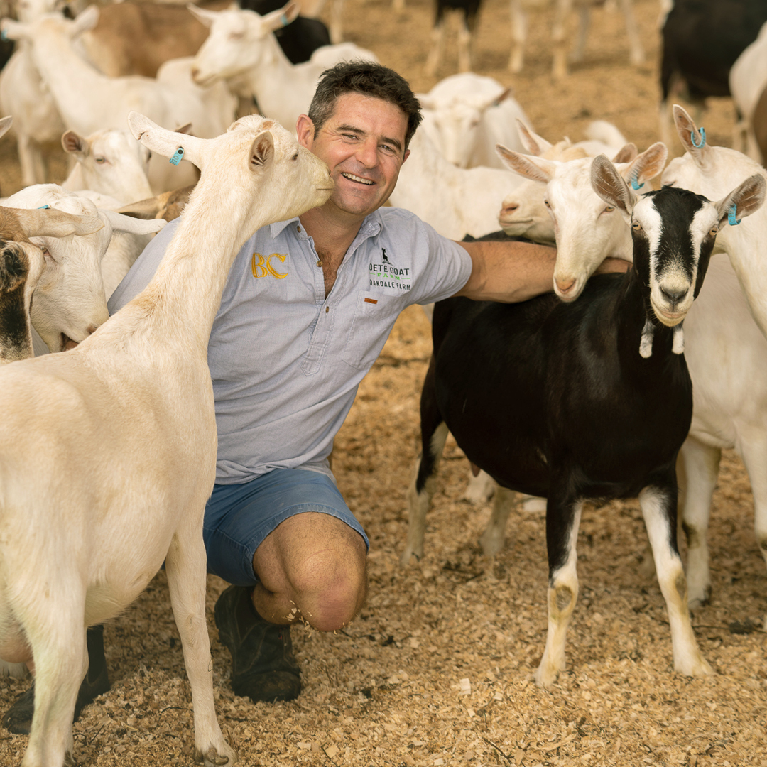 Oakdale Goat Farm advertising feature Case Study: Amanda Peart ...