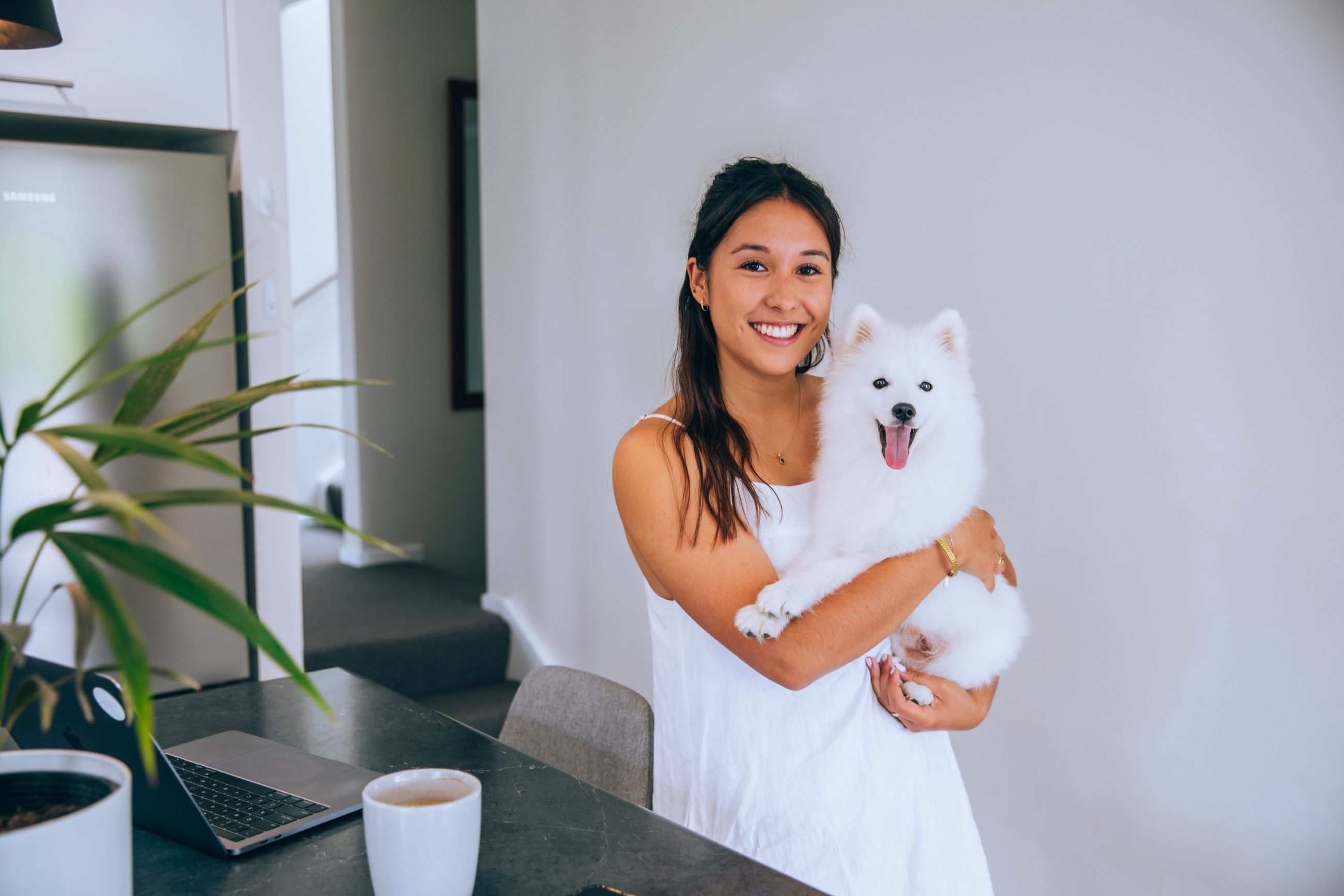 Hire Freelancers in New Zealand | Unicorn Factory