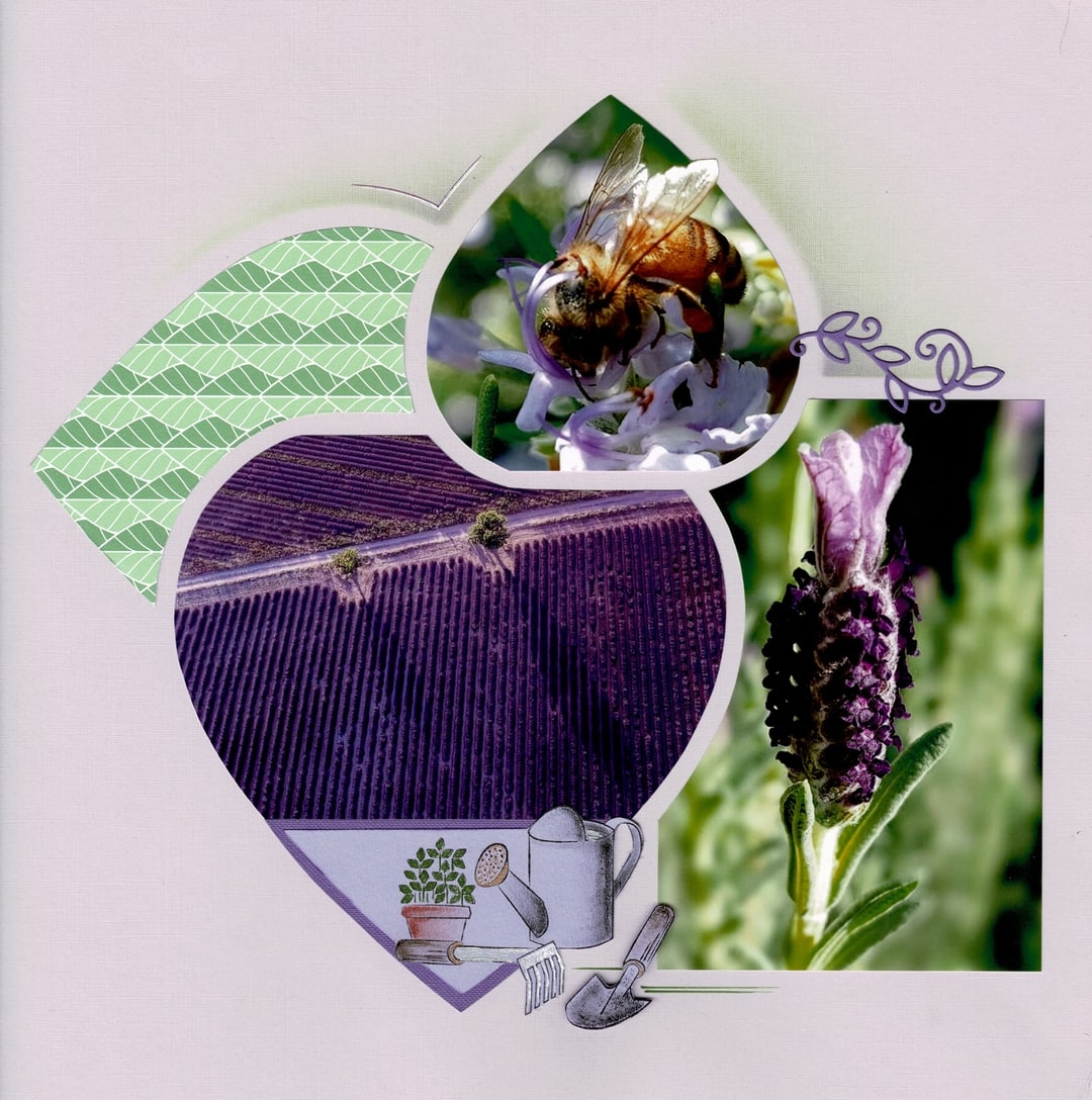 About AZZA Scrapbooking | AZZA Pacific