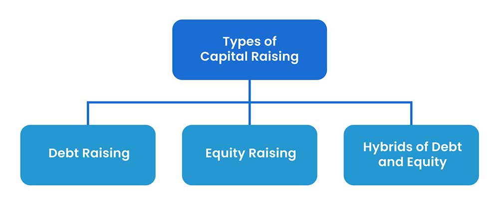 Capital Raising: A Comprehensive Guide