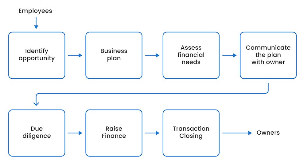 Management Buyout (MBO) Guide: How it Works