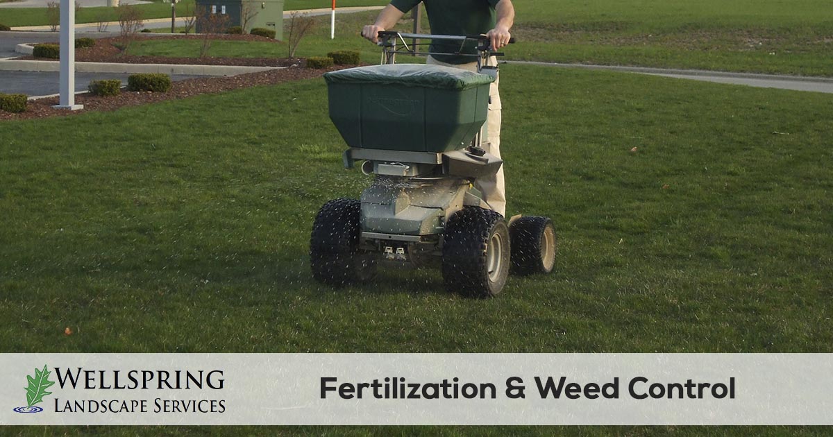Fertilization & Weed Control Services | Wellspring Landscape Services