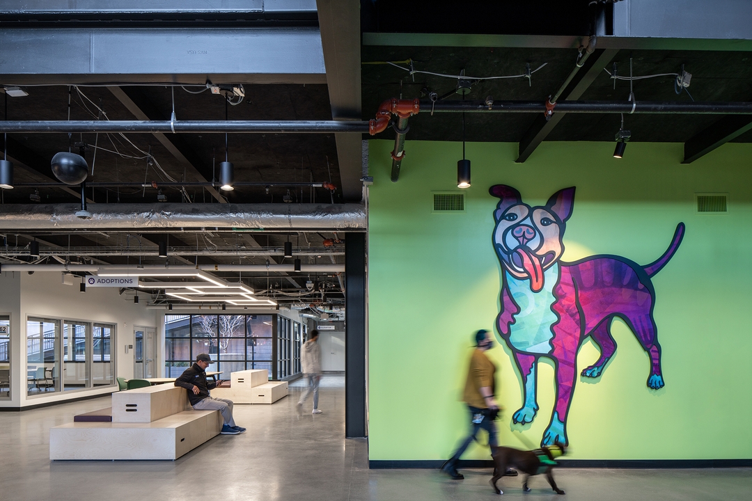 San Francisco Animal Care & Control Facility , San Francisco | Quezada ...