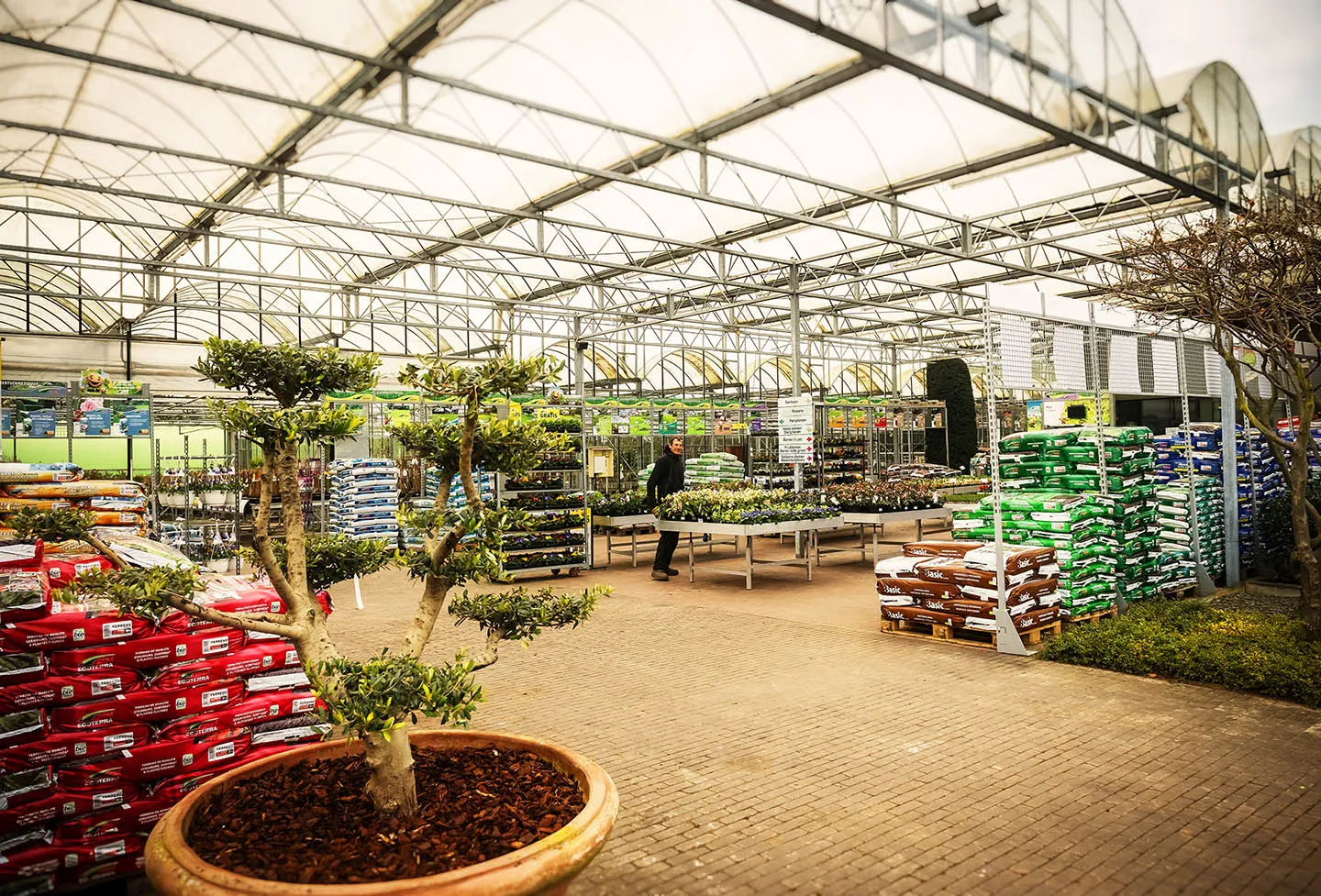 Boomkwekerij Bomen Kopen? - Plantencentrum Mampay