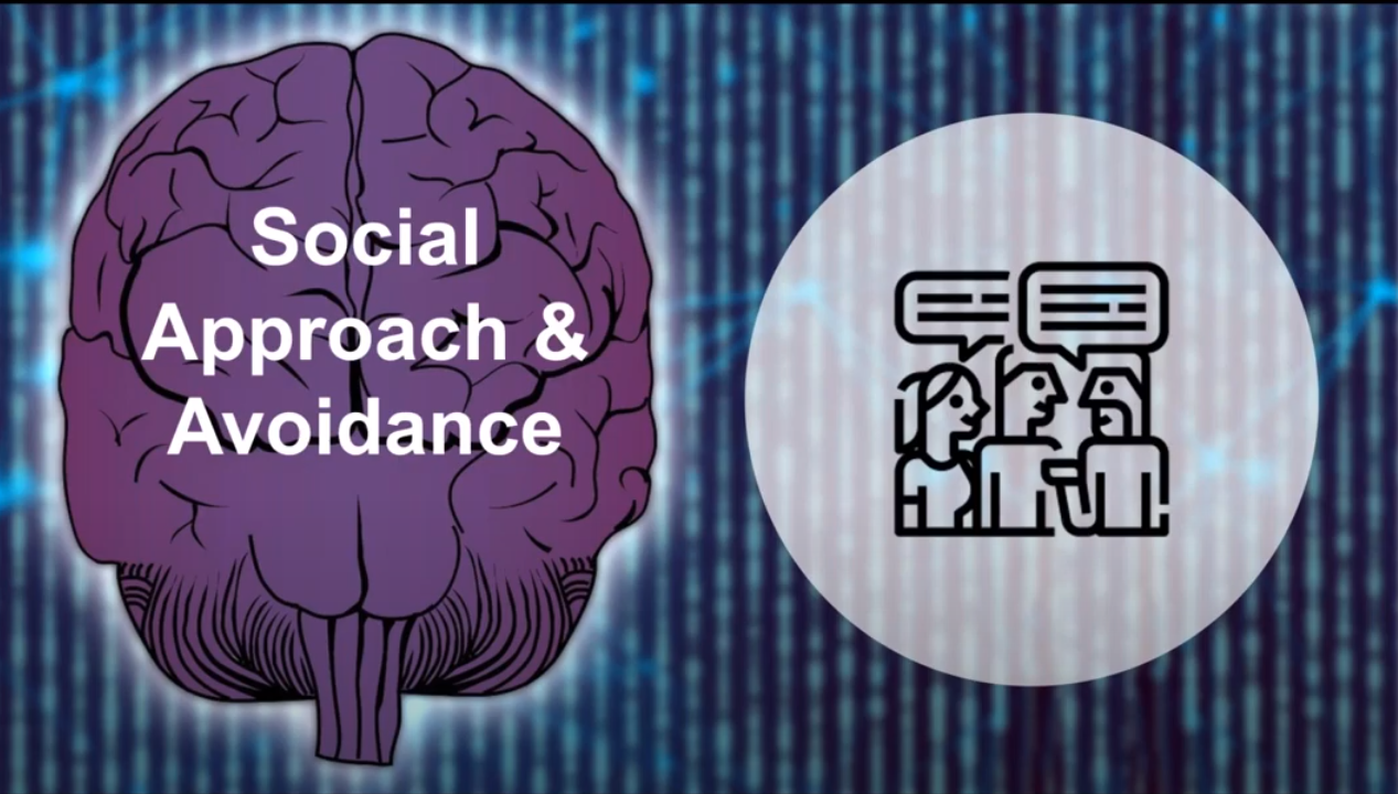 Using Covert Measures in VR to Trace Social Psychological Behavior