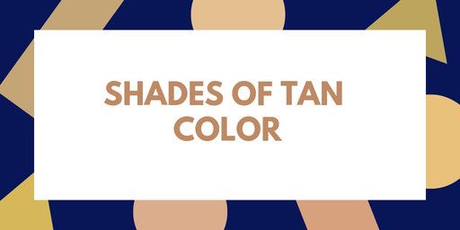 Shades Of Tan: +50 Tan Colors with Hex Codes