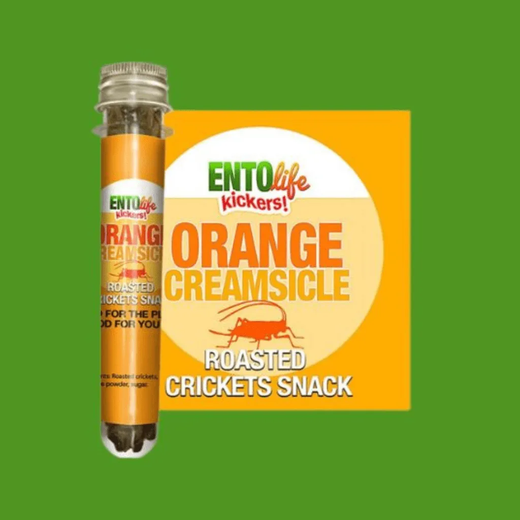 +20 Best Orange Snacks Explained - Eggradients.com