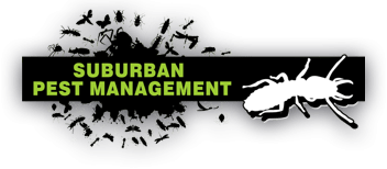 Pest Control Brisbane | Suburban Pest Management