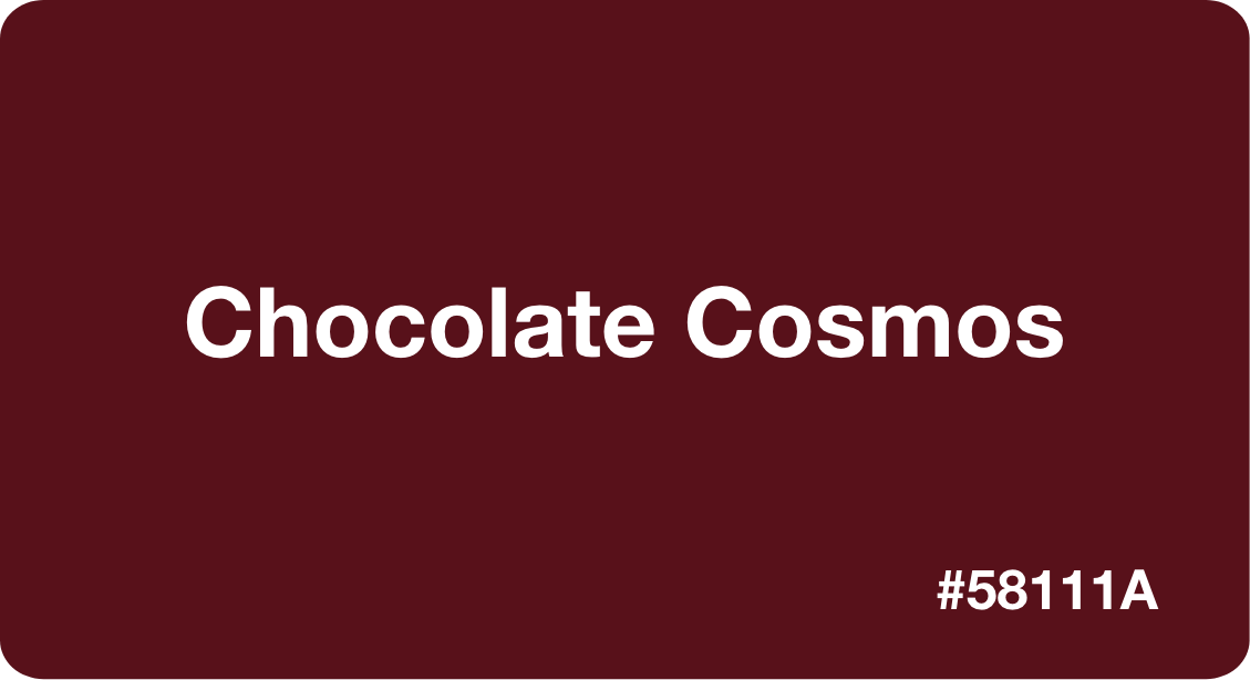 Chocolate Cosmos Color: Best Practices, Color Codes, Palettes & More!