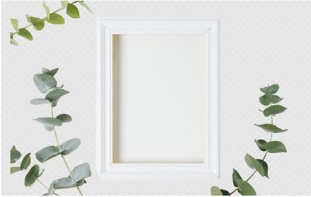 +50 Transparent Background Frame PNG Image For Free