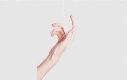+100 Transparent Background Hand PNG Image For Free