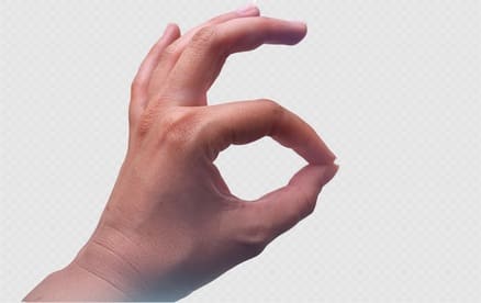 +100 Transparent Background Hand PNG Image For Free