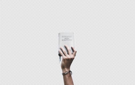 +100 Transparent Background Hand PNG Image For Free