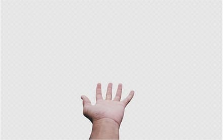 +100 Transparent Background Hand PNG Image For Free