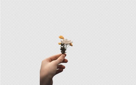+100 Transparent Background Hand PNG Image For Free