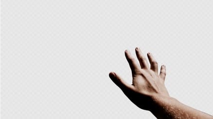 +100 Transparent Background Hand PNG Image For Free
