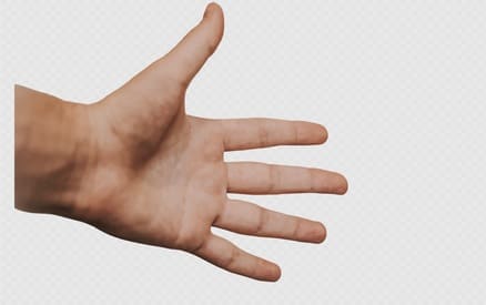 +100 Transparent Background Hand PNG Image For Free