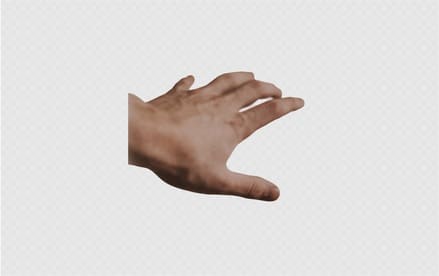 +100 Transparent Background Hand PNG Image For Free