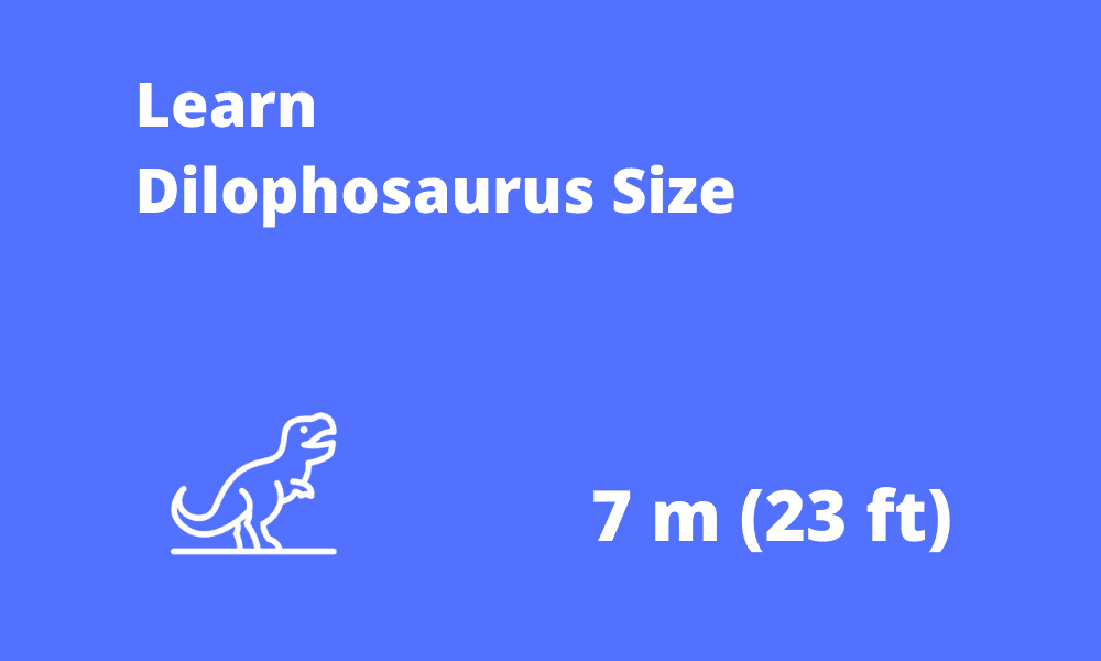 Learn Dilophosaurus Size