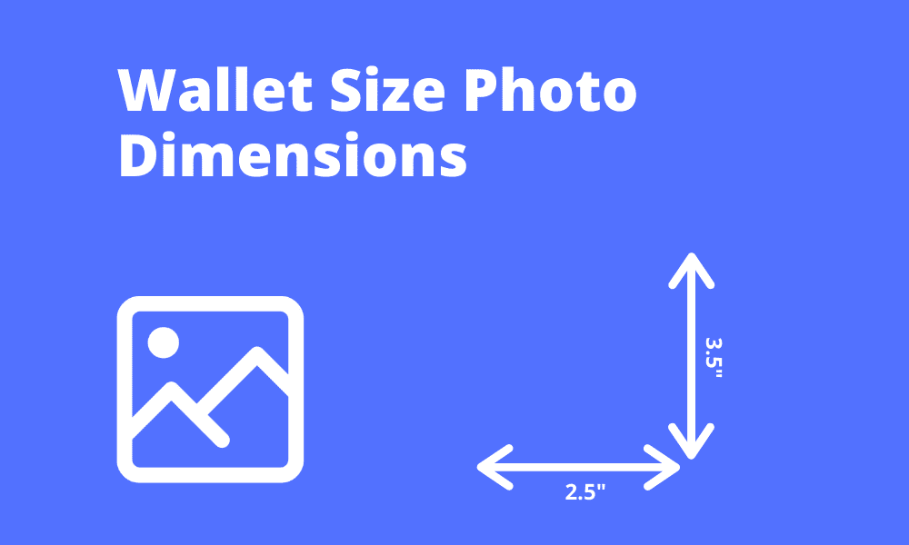 Wallet Size Photo Dimensions