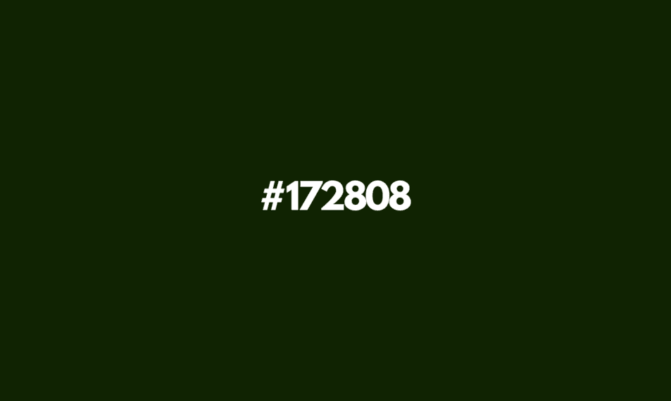 +30 Dark Green Colors With HEX Codes - Eggradients.com