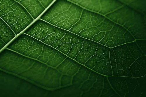 Light Green Gradient: +24 Background Color with CSS