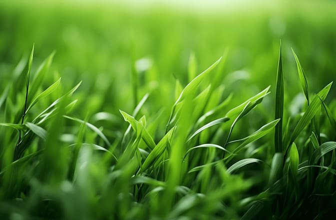 Green Gradient: +66 Background Gradient Colors with CSS