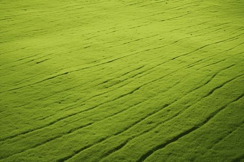 Green Gradient: +66 Background Gradient Colors with CSS