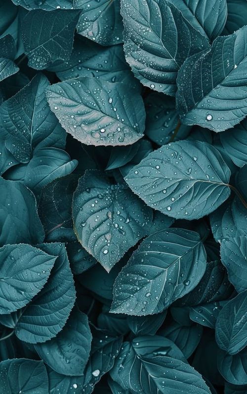 Mint Green Color (#93e9be): Best Practices, Color Codes, Palettes & More!