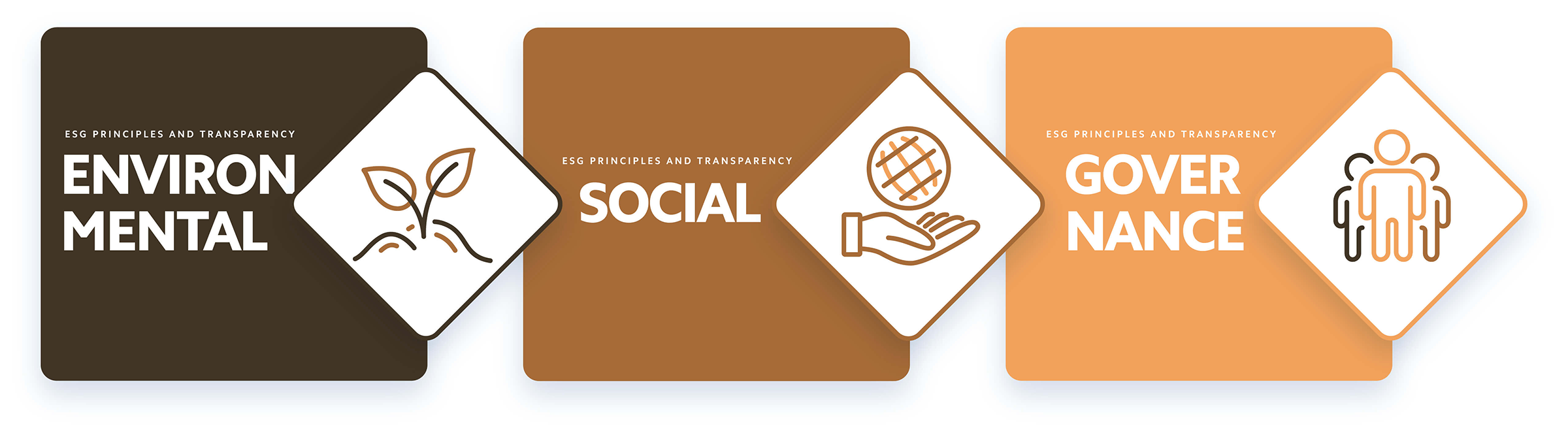 Complete Guide to Business Transparency