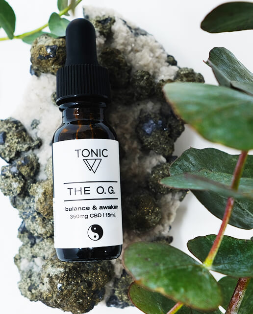 Blue Bite | Case Studies