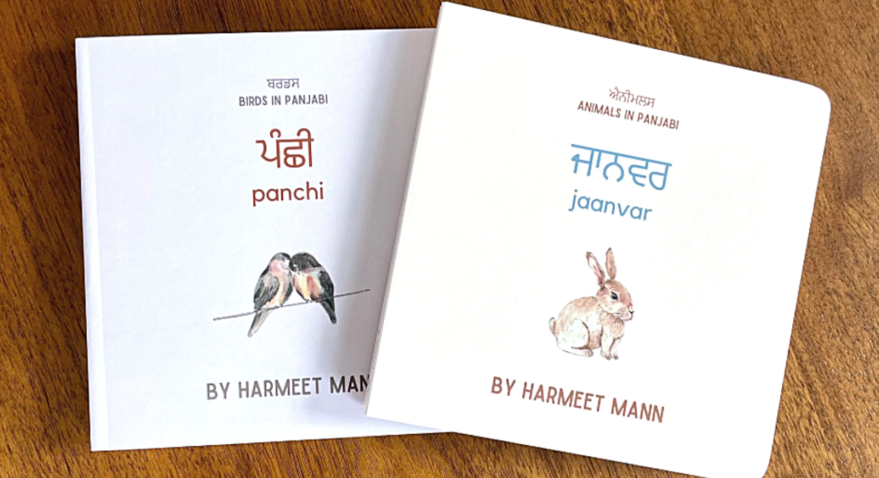 5X Fest | These Punjabi board books help preserve the Punjabi language