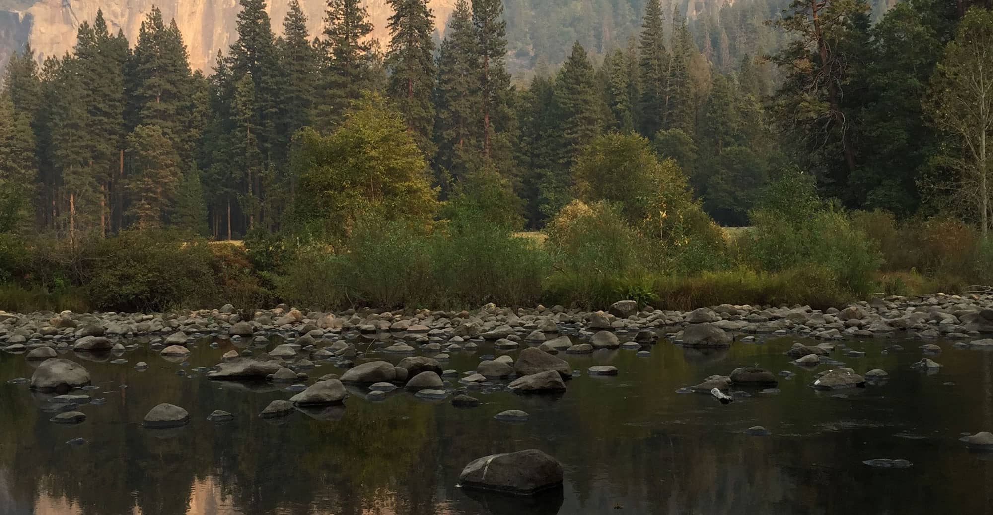 How to Buy Nutrient Credits - Northern Virginia Nutrient Bank