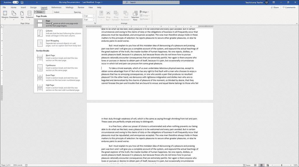 Pagination Page Breaks In MS Word Quick Visual Guide 