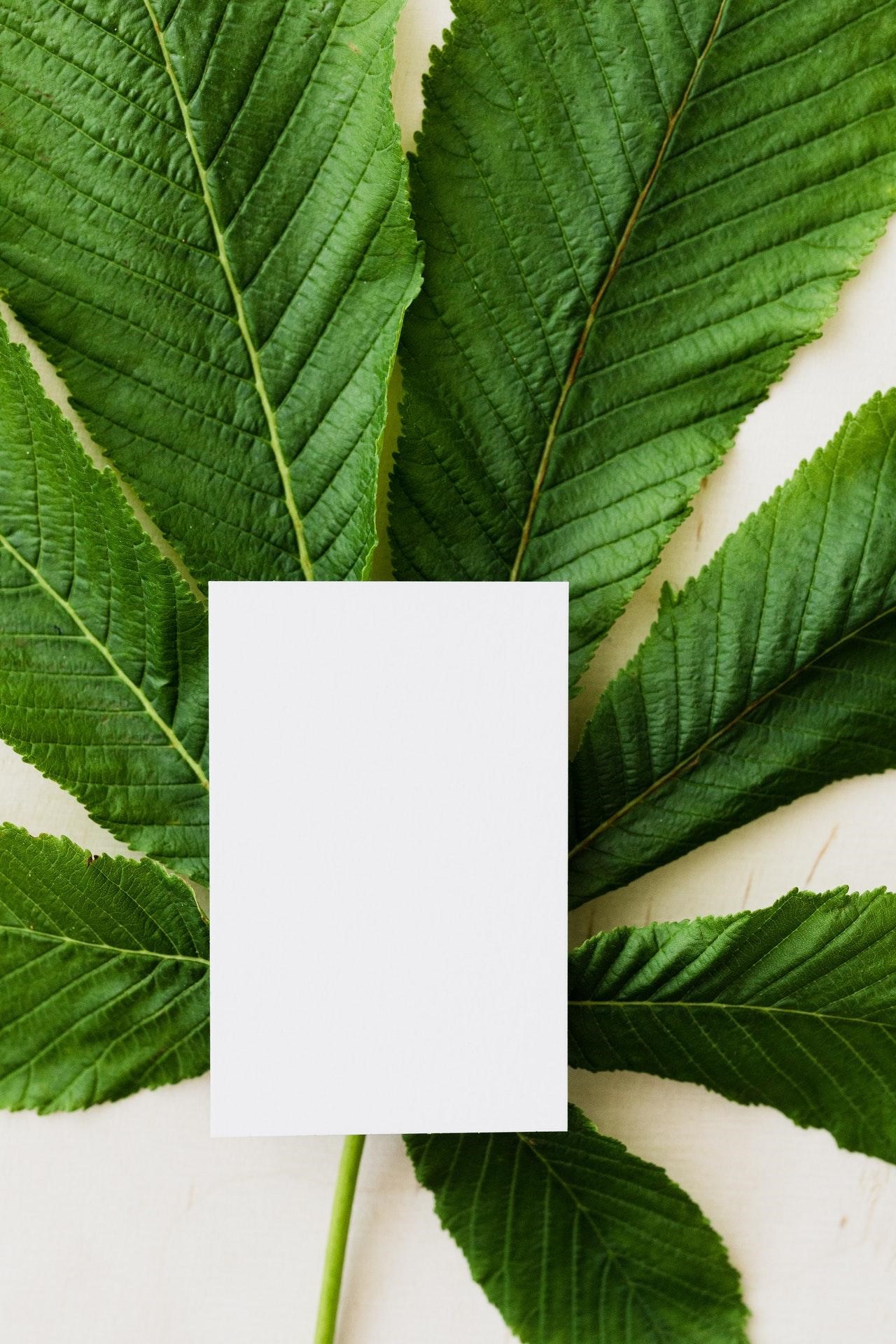 Digitizing Document Creation - Environmental Benefits