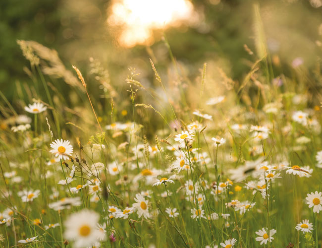 Total Event Company | Shell Scheme Hire | Exhibition Stand Solutions ...