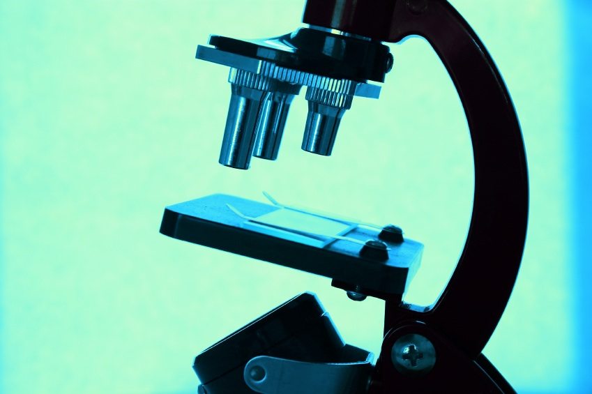 Xconomy: Proxima Aims to Fill CRO Gap for Houston’s Growing Biotech ...