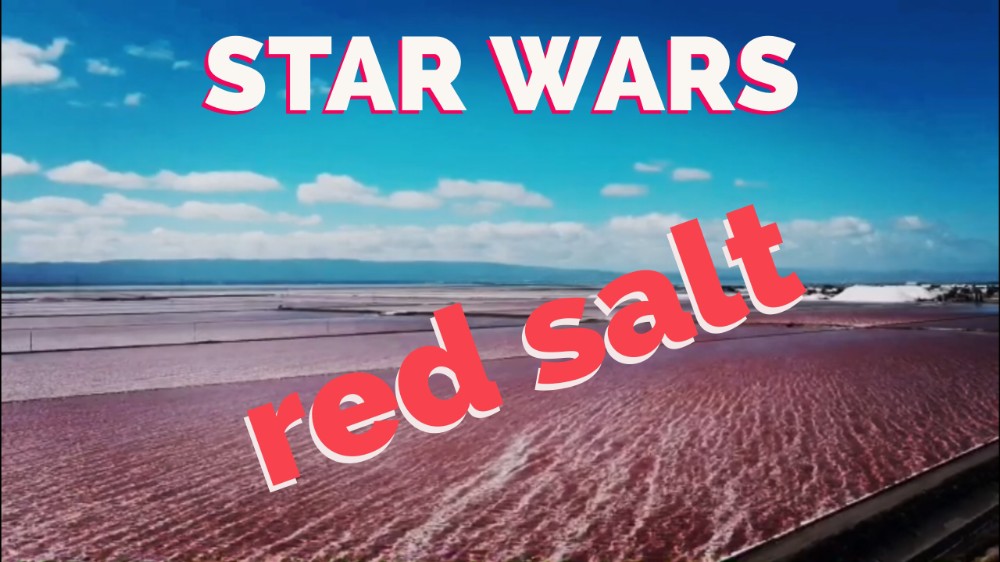 AmieDD - Ramblings of a Unicorn Blog