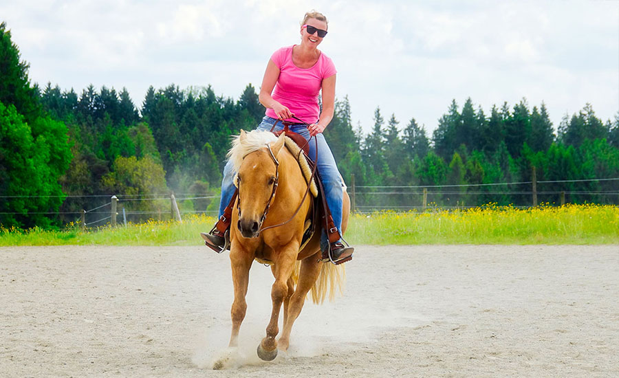 Willkommen auf den Q-Stables!