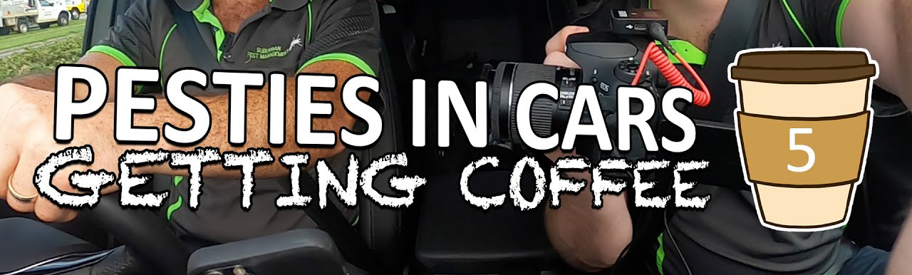 Pesties in Cars Getting Coffee | Suburban Pest