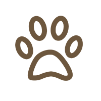 Available Rooms at the Almo Inn | Almo, Idaho