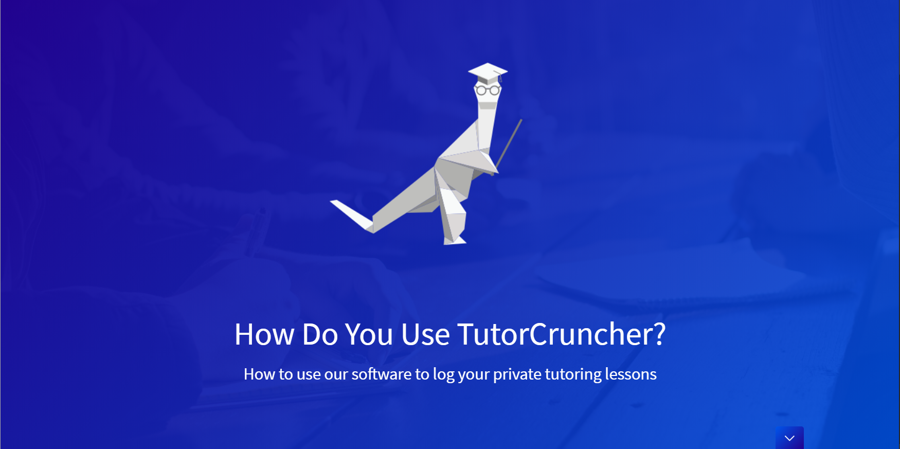💡 How Do Tutors Use TutorCruncher? | Evolutionary Tutors