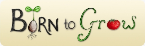 FARM STEW | A Recipe For An Abundant Life