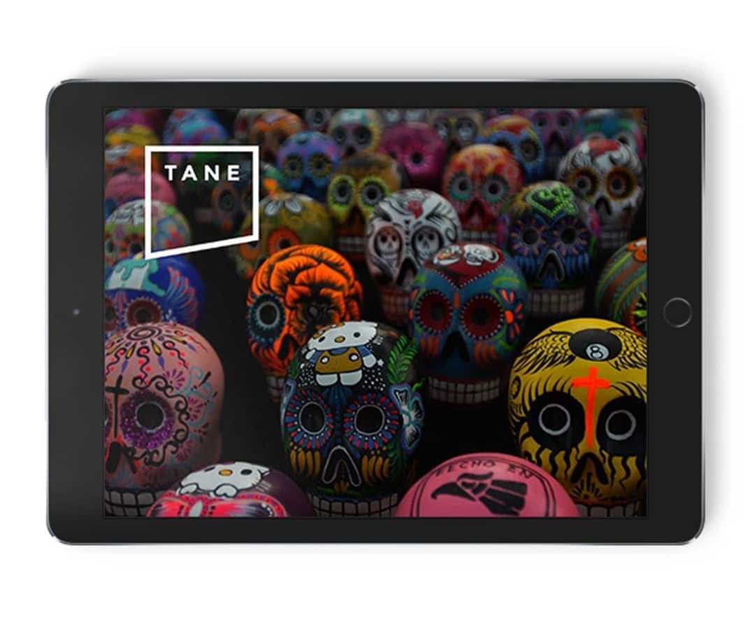 TANE; Tane Digital Video – Complete Rebranding – LET'S PANDA