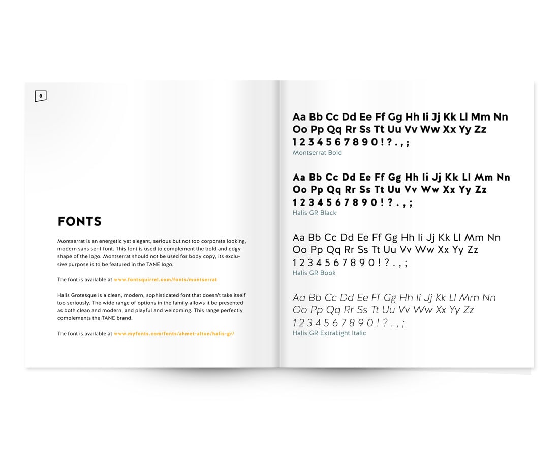 TANE; Tane Digital Video – Complete Rebranding – LET'S PANDA