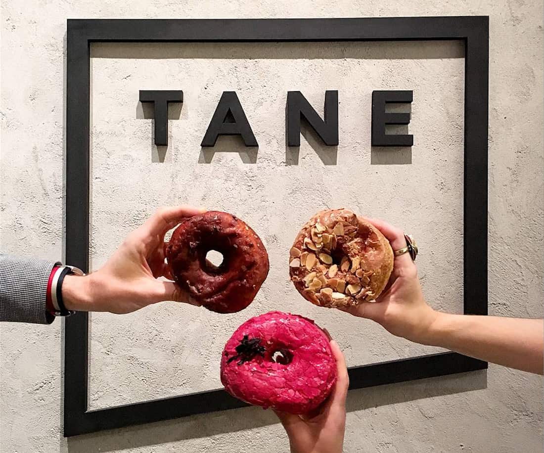 TANE; Tane Digital Video – Complete Rebranding – LET'S PANDA